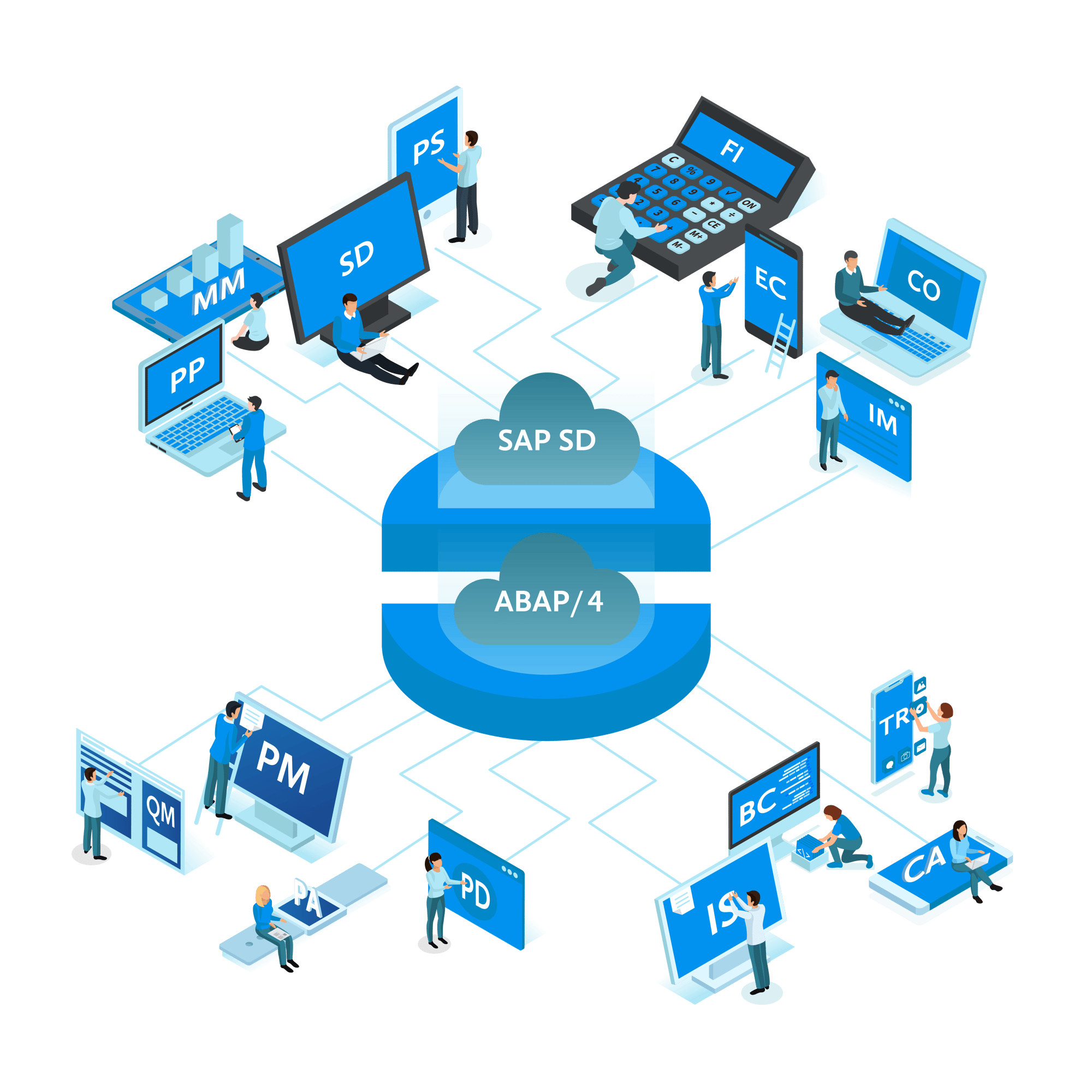 SAP FICO Consulting|Finance and Controlling|Investment Management